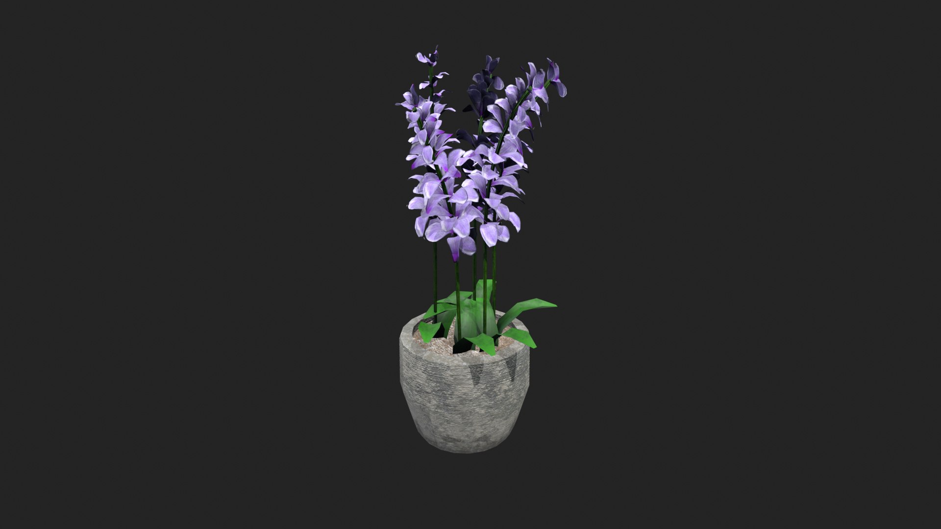 3D Medieval Lavender Pot - TurboSquid 2322776