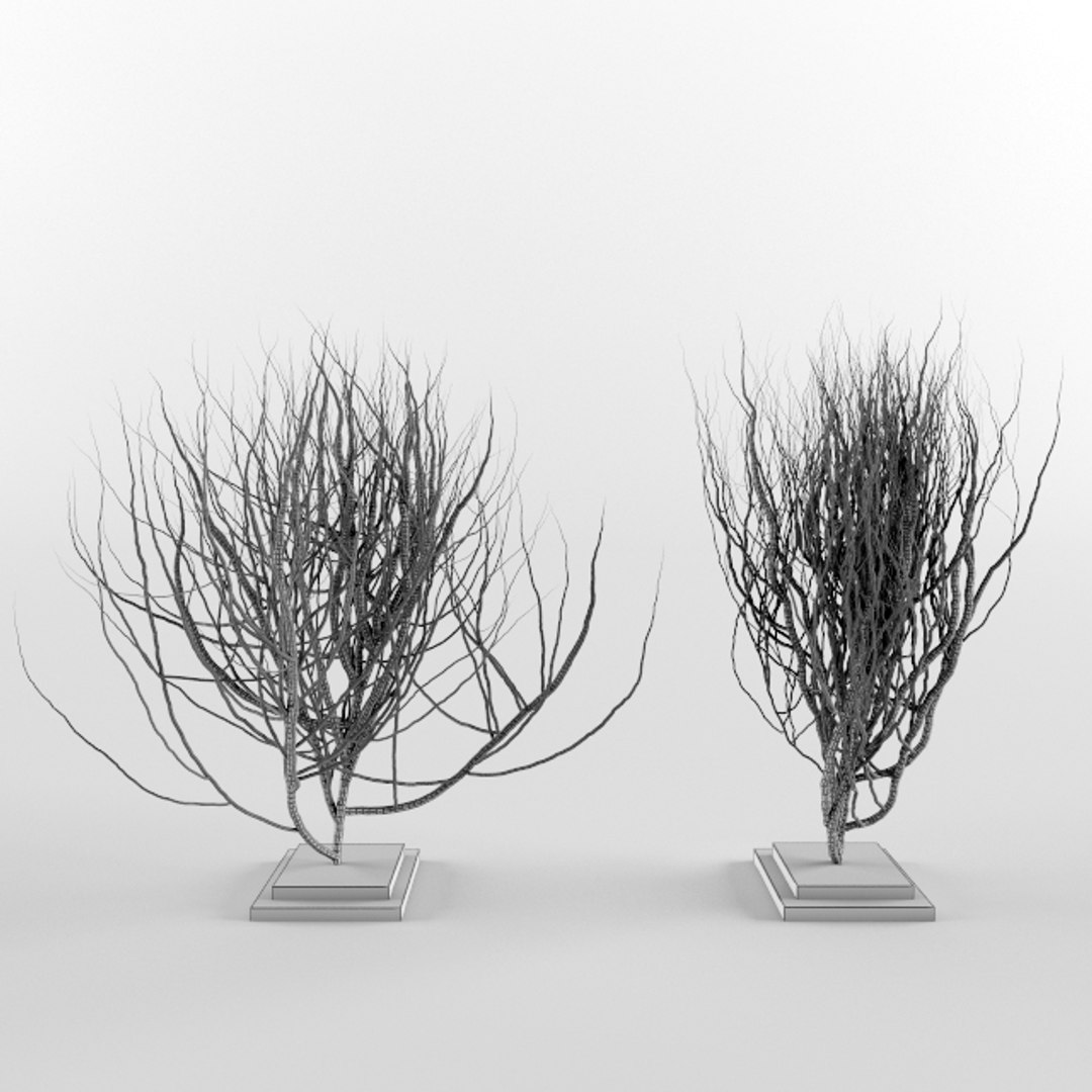 Free Decorative Bushes 3d Model