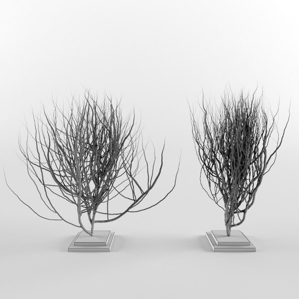 free decorative bushes 3d model