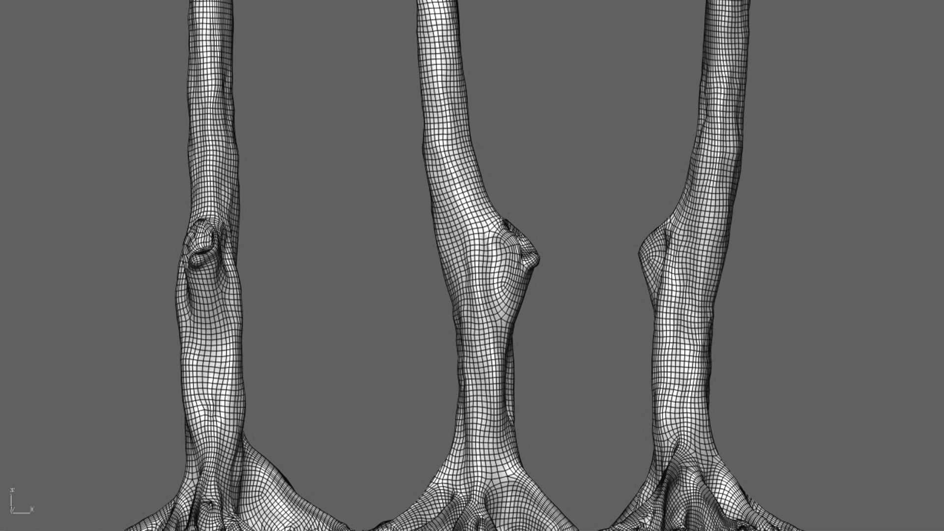 Dolonix Regia - Royal Poinciana 02 3D Model - TurboSquid 1808258