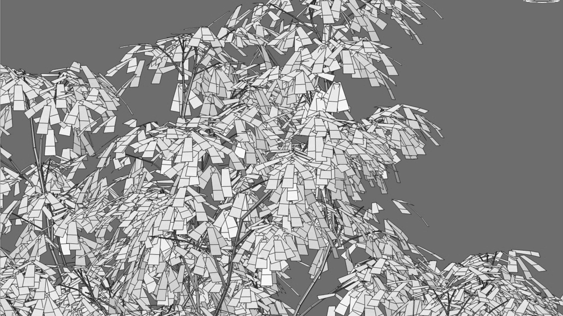 Dolonix Regia - Royal Poinciana 02 3D Model - TurboSquid 1808258
