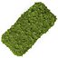 3d Rectangular Box Hedge Model
