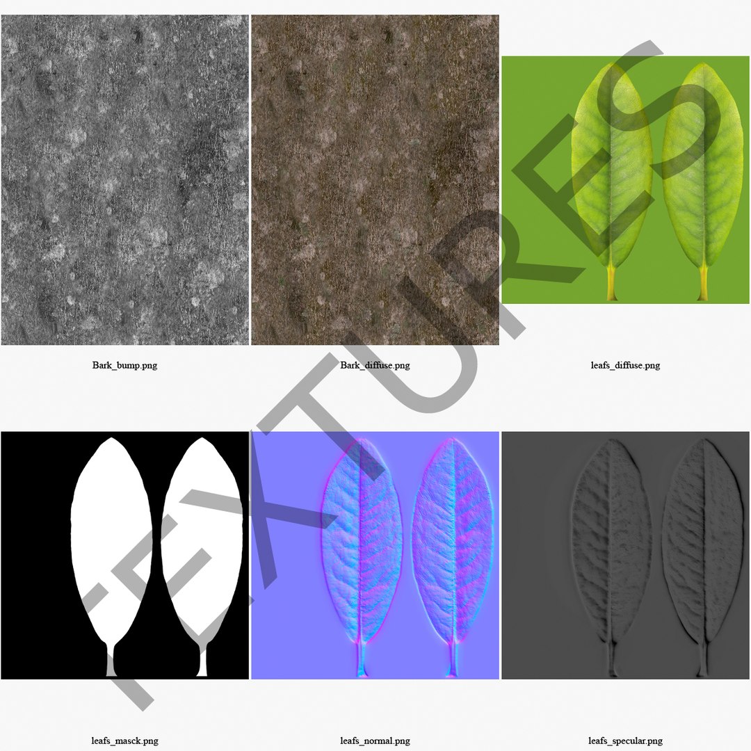 3d Rectangular Box Hedge Model