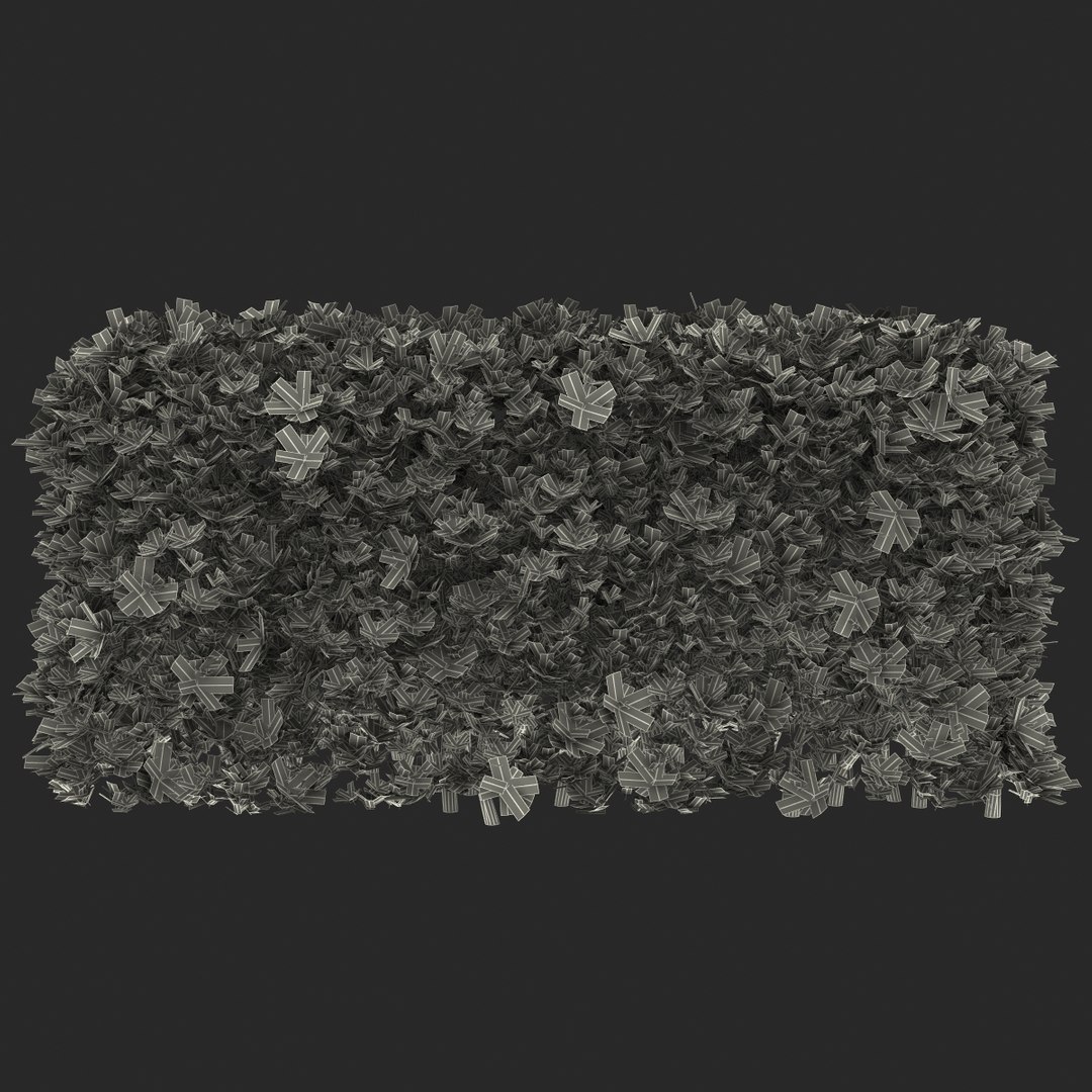 3d Rectangular Box Hedge Model