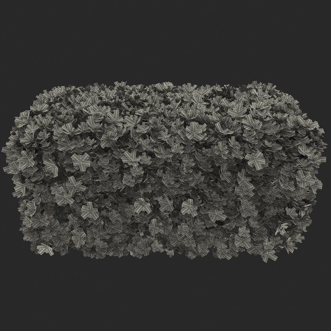 3d Rectangular Box Hedge Model