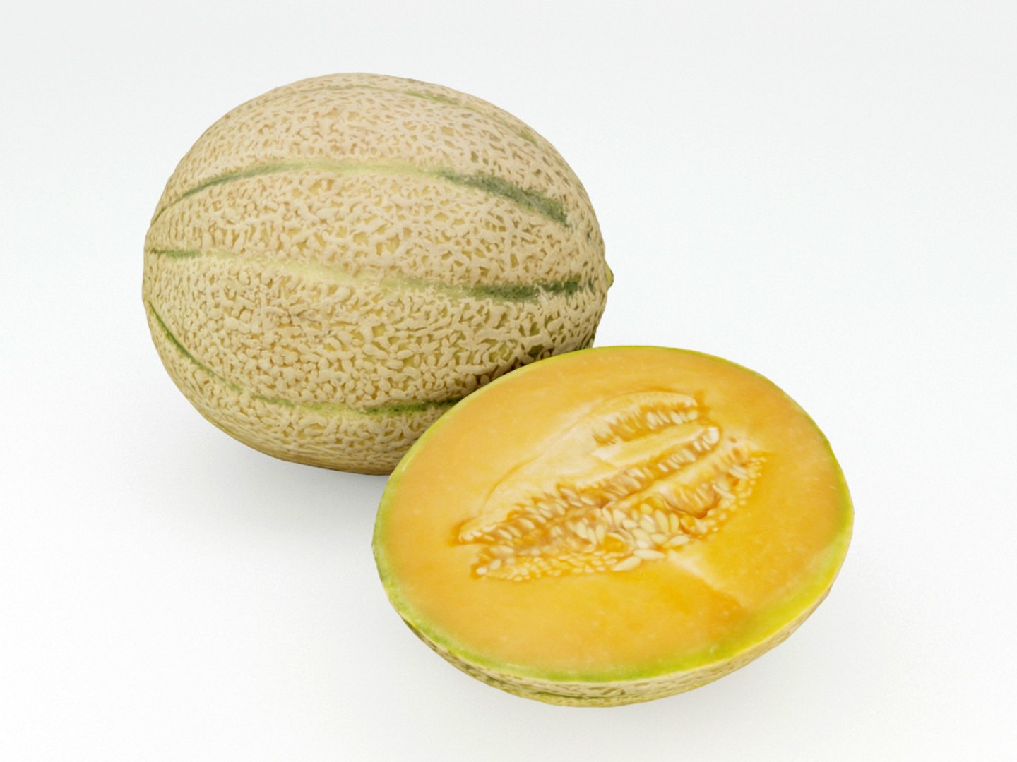 3d Melons Resolution Model