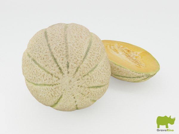 3d melons resolution model