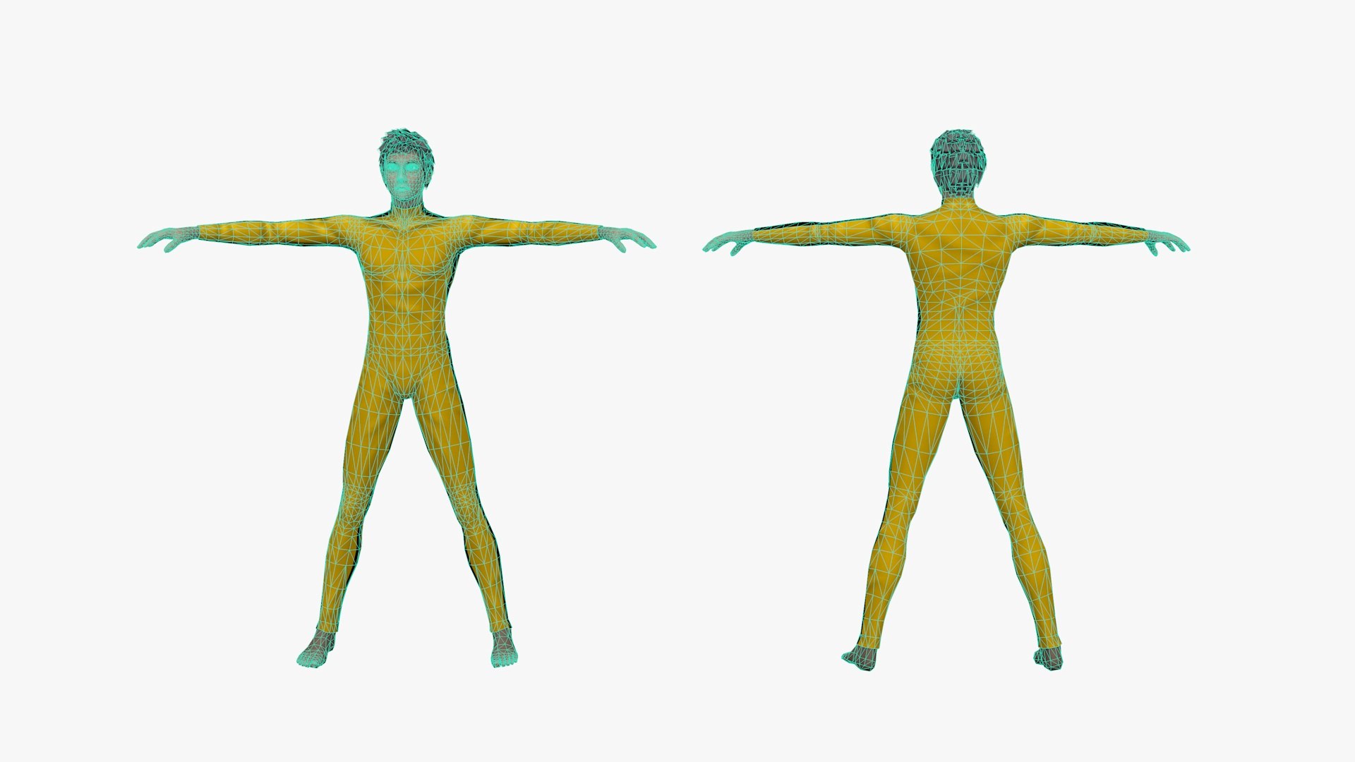 3D Lee - TurboSquid 1864521