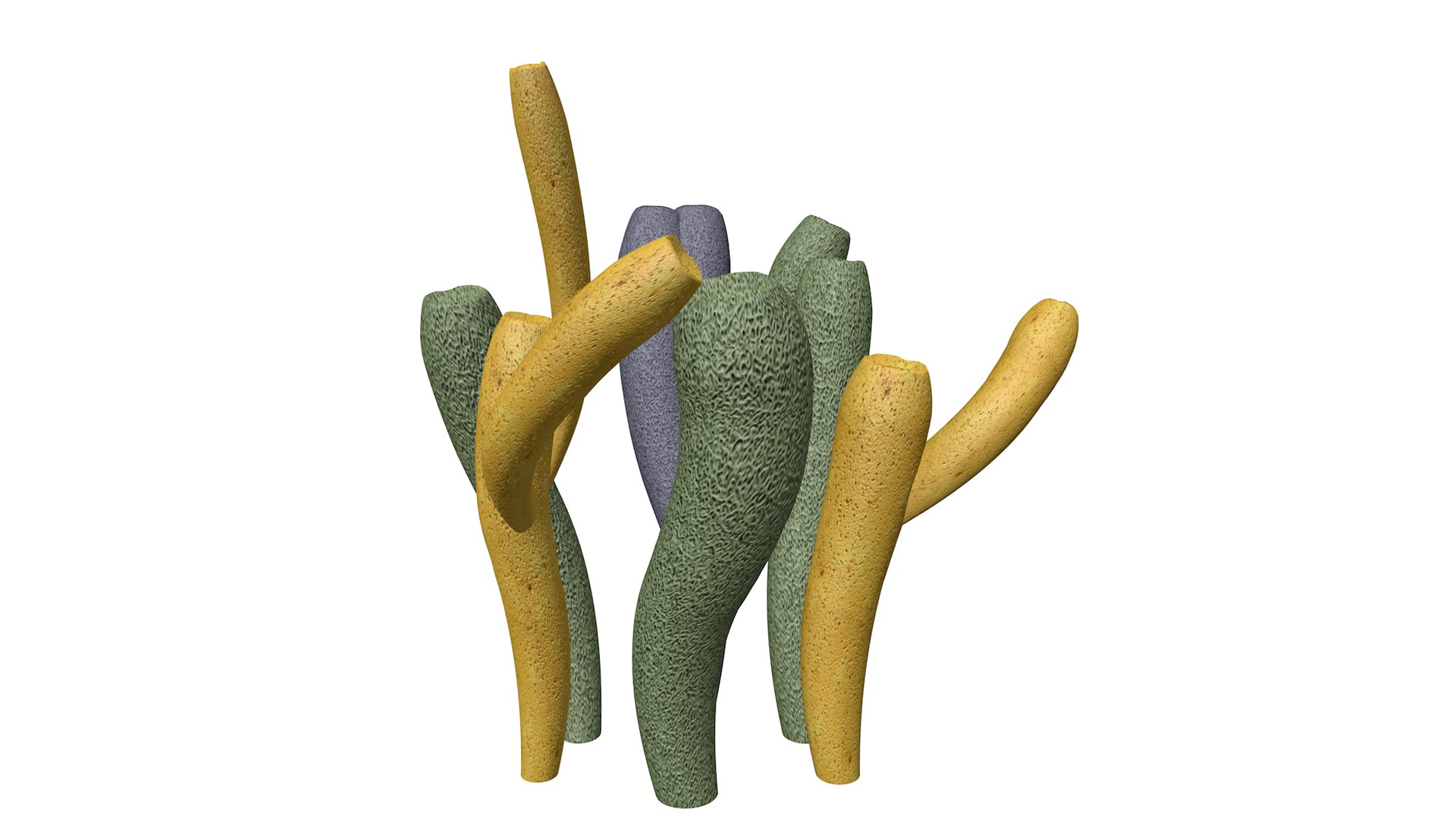 Tube Sponge - 03 - 3D Model - TurboSquid 2371849