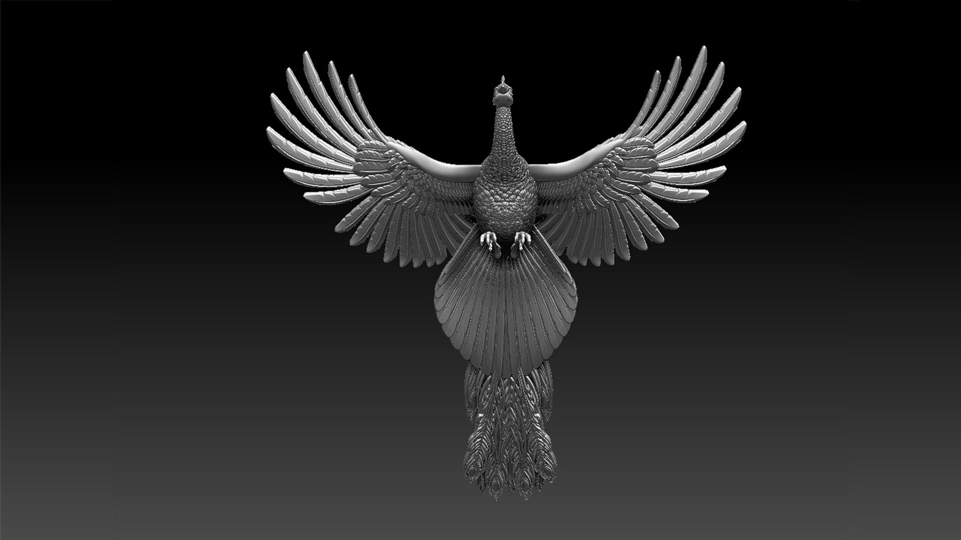 Peacock 3D Model - TurboSquid 1957271