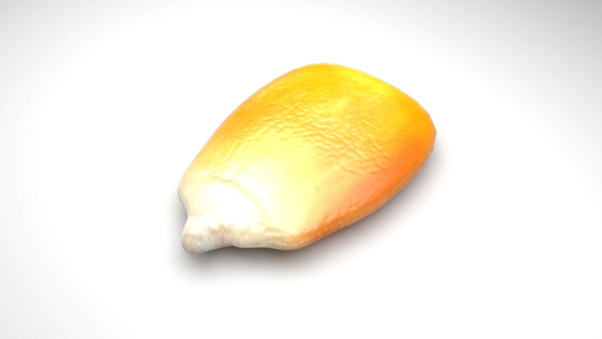 Corn Kernel 3D Model - TurboSquid 1850939