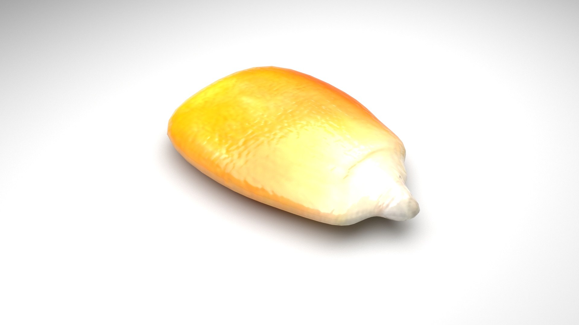 Corn Kernel 3D Model - TurboSquid 1850939