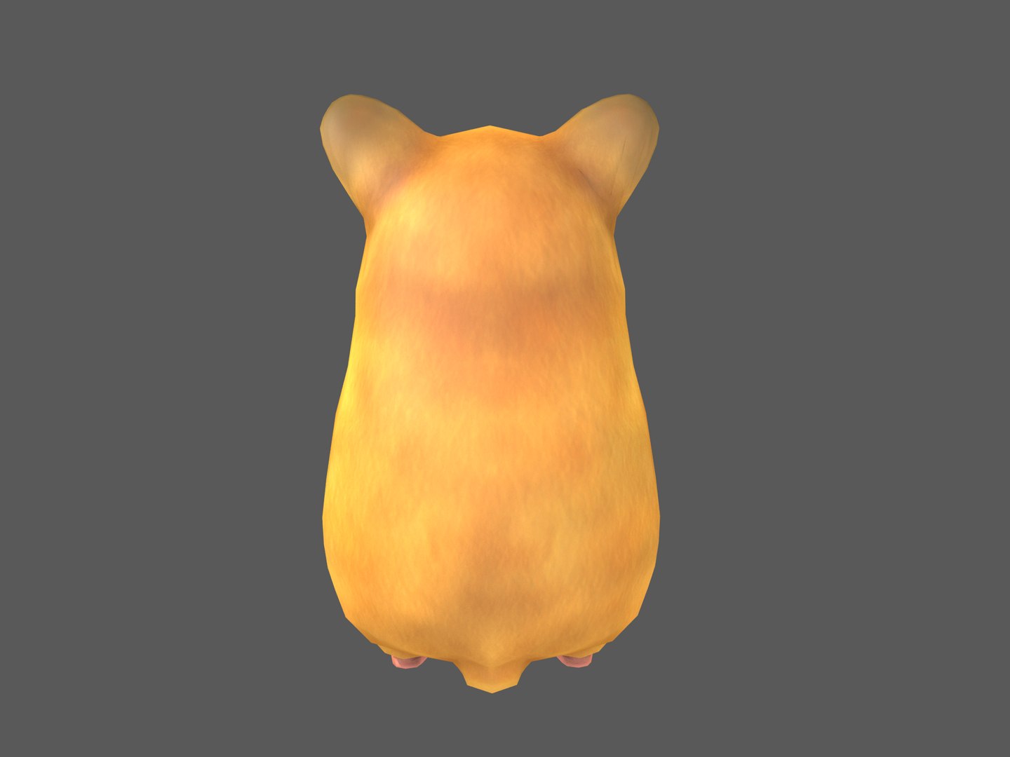 Syrian Hamster 3D Model - TurboSquid 1486747