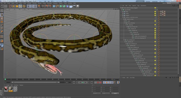 Green python snake rigged 3D - TurboSquid 1435510