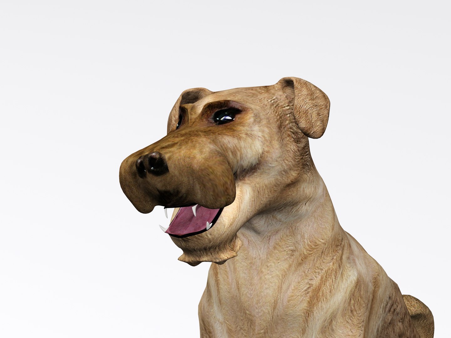 Sitting Dog 3d Model