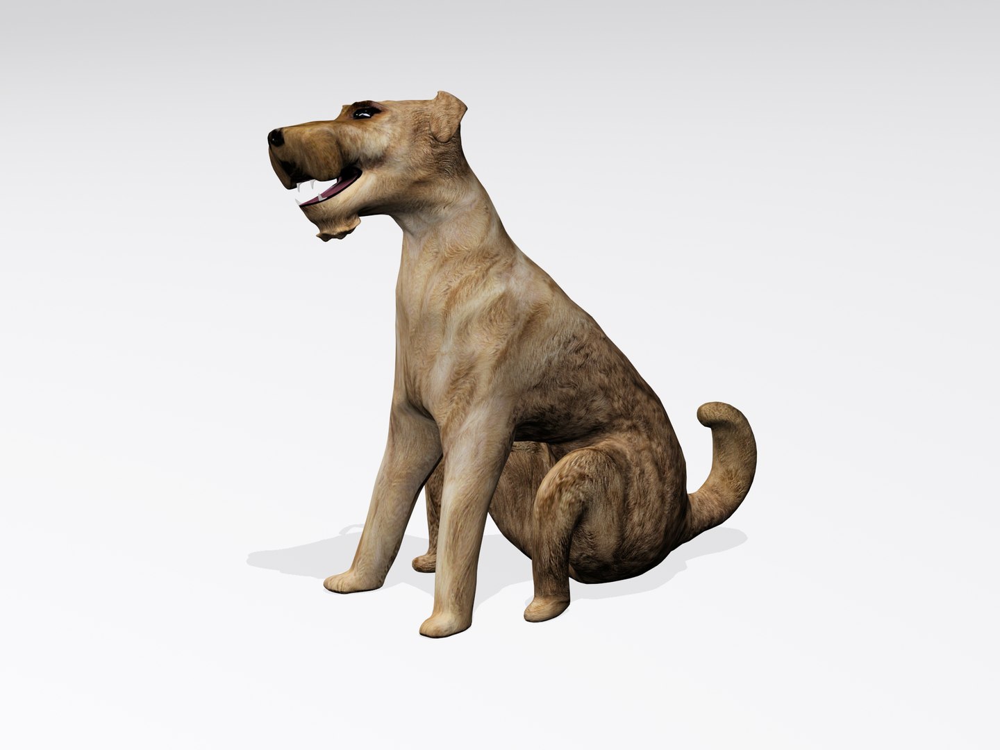 Sitting Dog 3d Model
