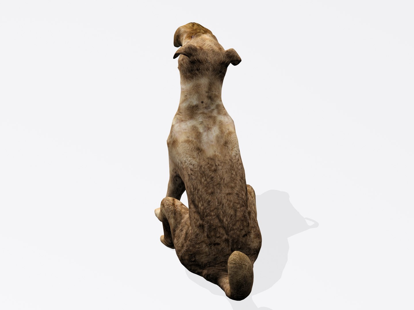 Sitting Dog 3d Model