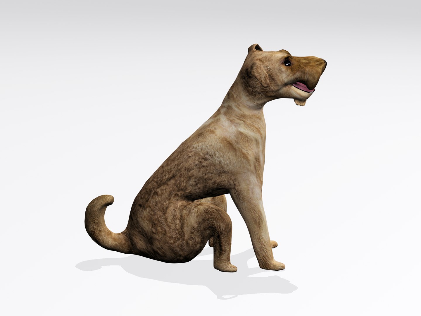 Sitting Dog 3d Model