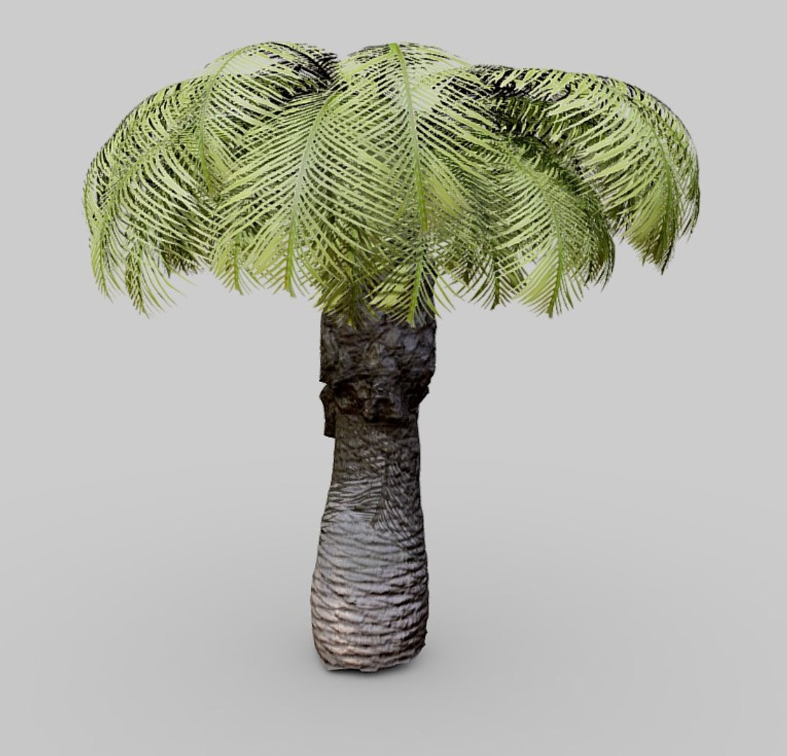 Plant Small Palm Tree Model - TurboSquid 1598203