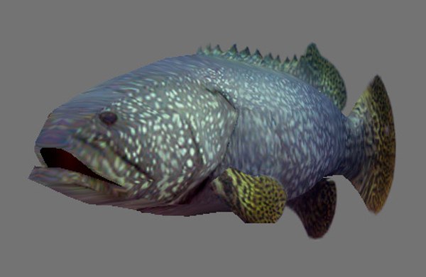 3d model fish games