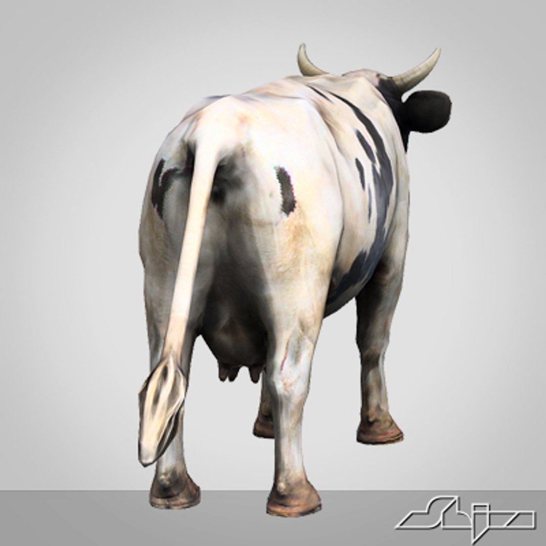 3d Cow Model