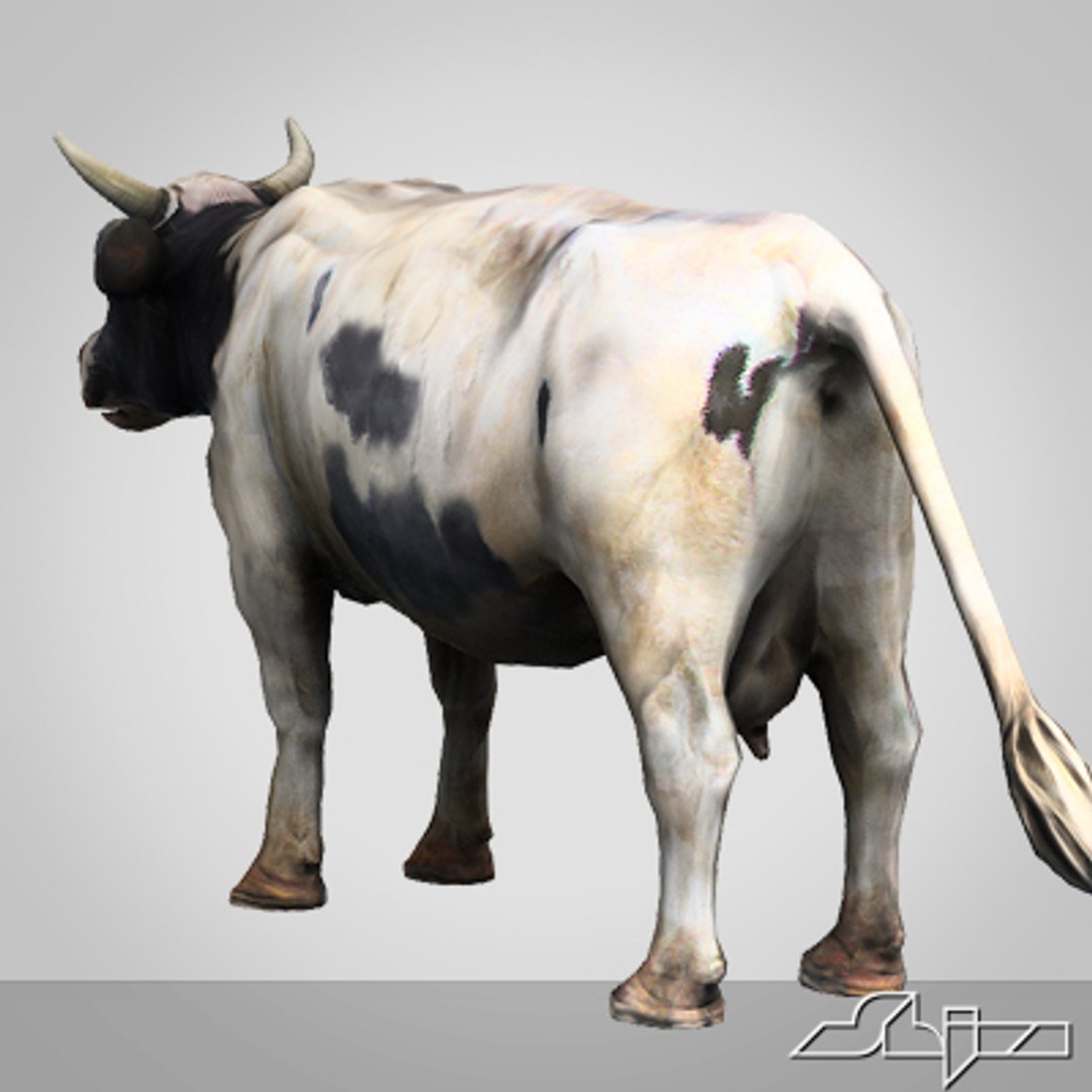 3d Cow Model