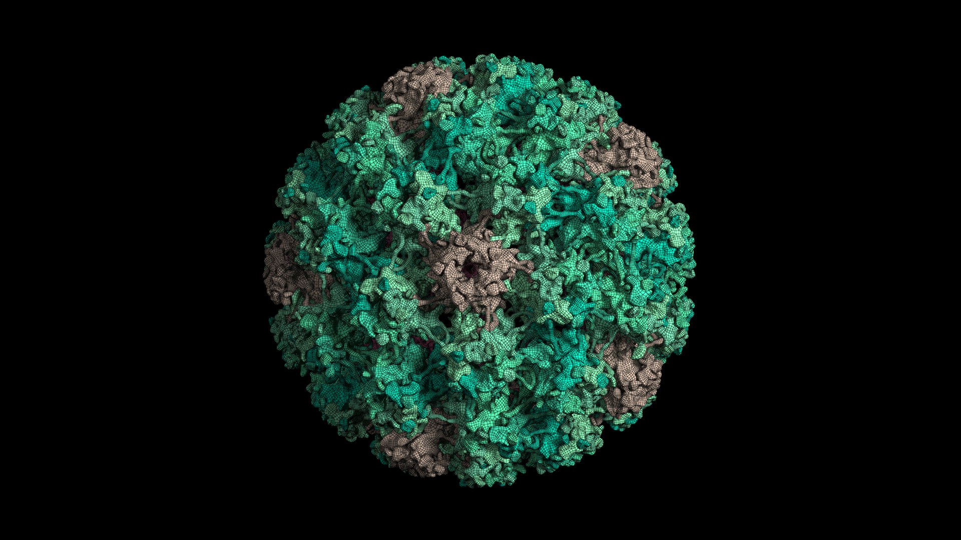 3D Humane Papillomavirus Type 16 With DNA Model - TurboSquid 2231705