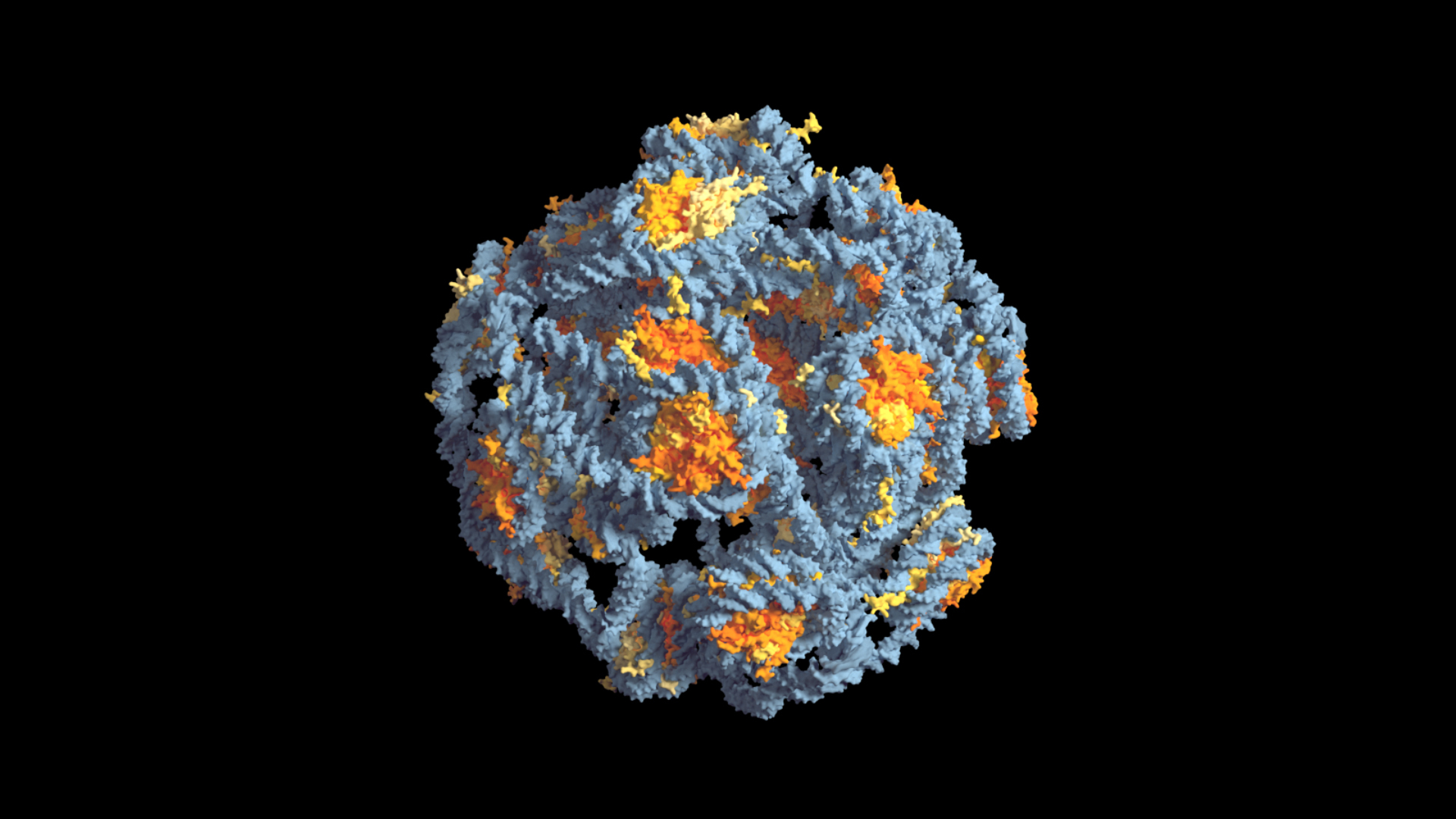 3D Humane Papillomavirus Type 16 With DNA Model - TurboSquid 2231705