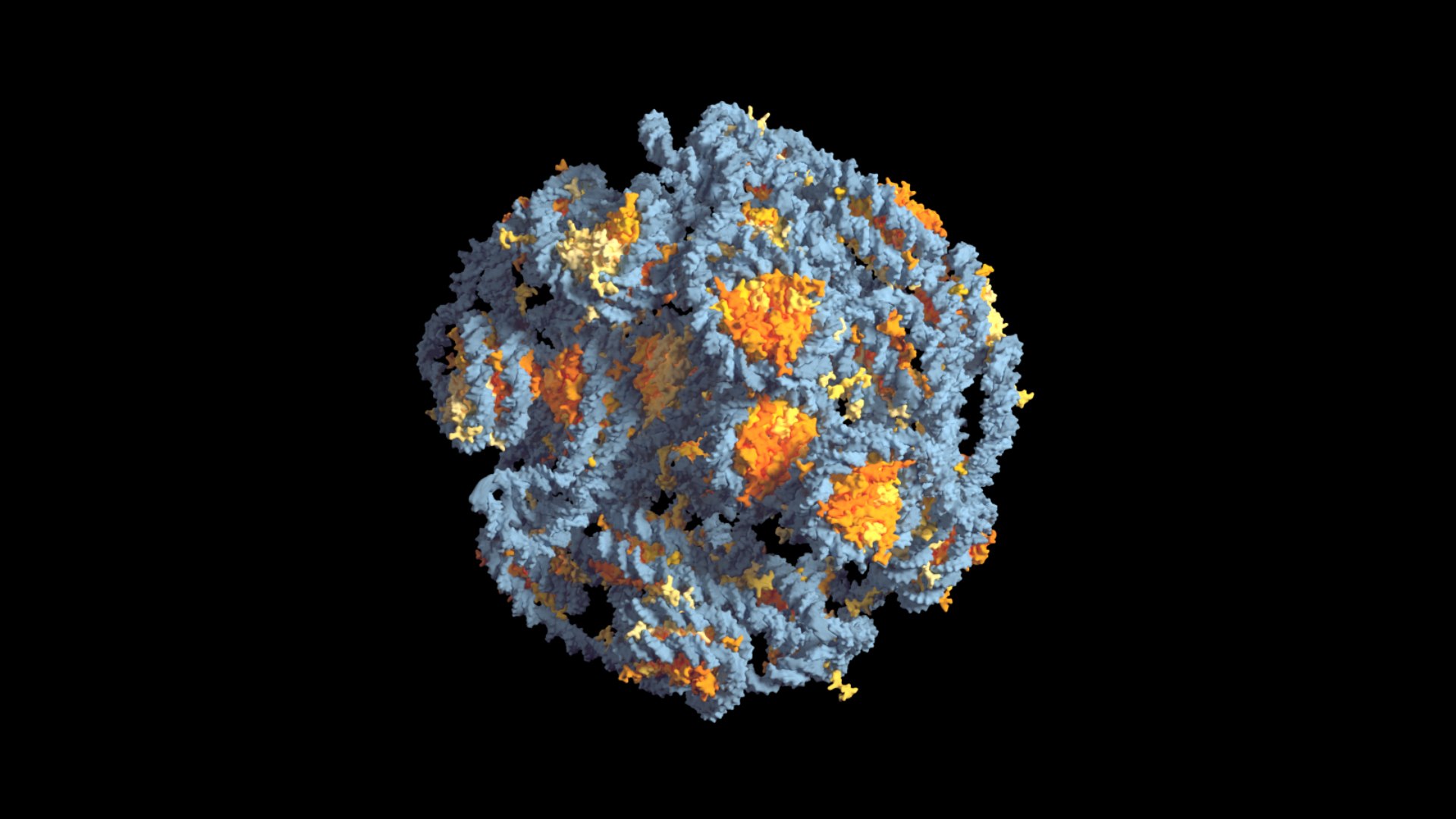 3D Humane Papillomavirus Type 16 With DNA Model - TurboSquid 2231705