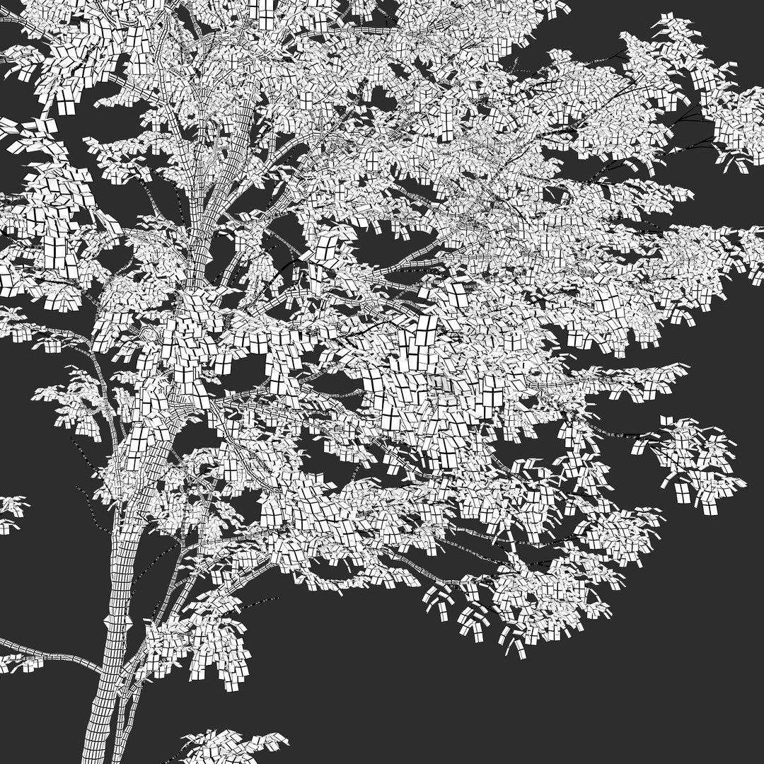 3D Autumn Forest Trees Model - TurboSquid 1970700