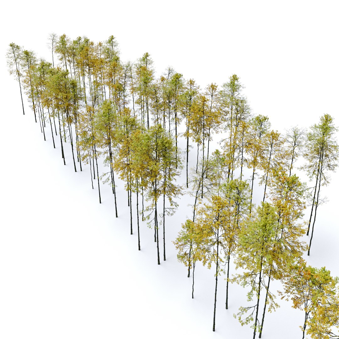3D Autumn Forest Trees Model - TurboSquid 1970700