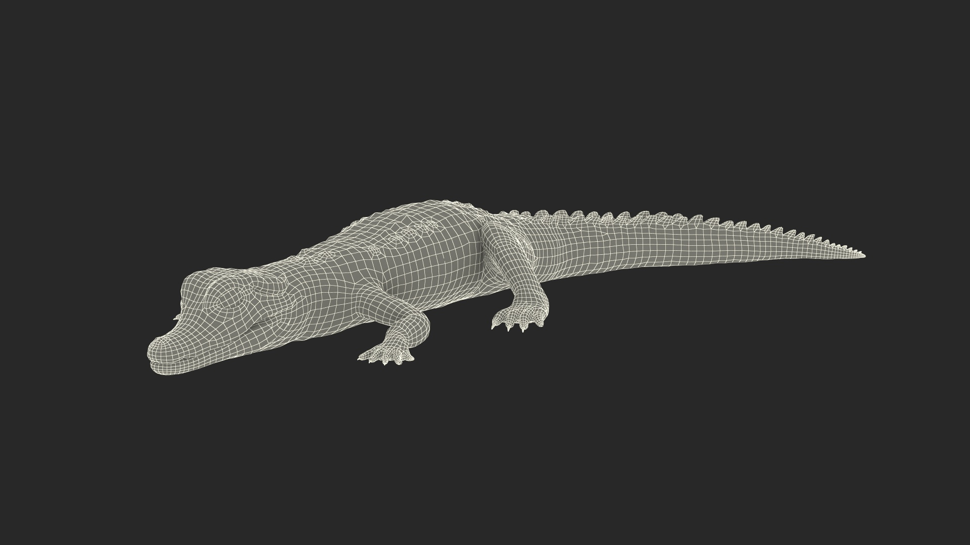 3D Black Caiman Baby Lying Model - TurboSquid 2214265