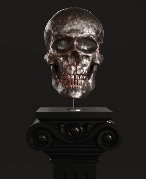 Free 3D Skull Models | TurboSquid