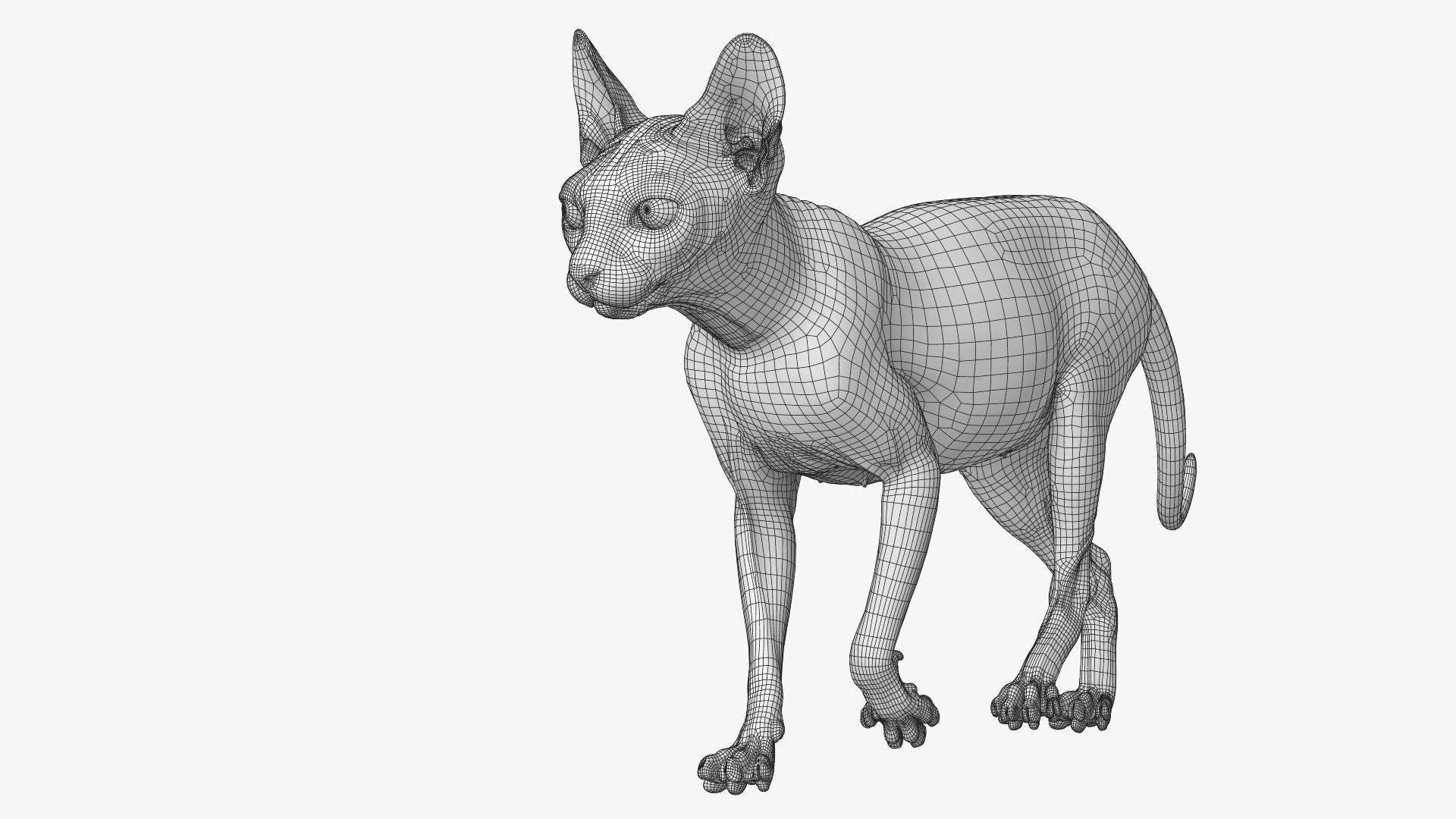Sphynx Cat Walking Pose Model - TurboSquid 1664994