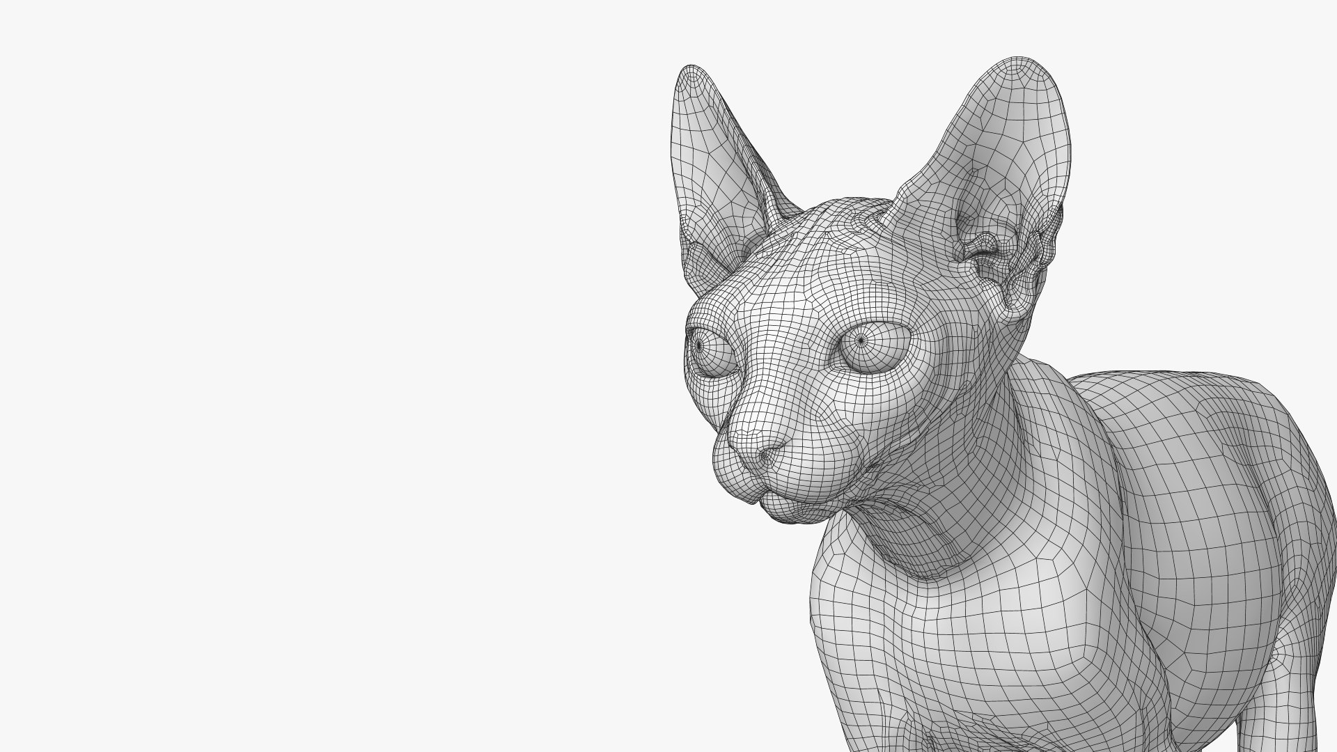 Sphynx Cat Walking Pose Model - TurboSquid 1664994
