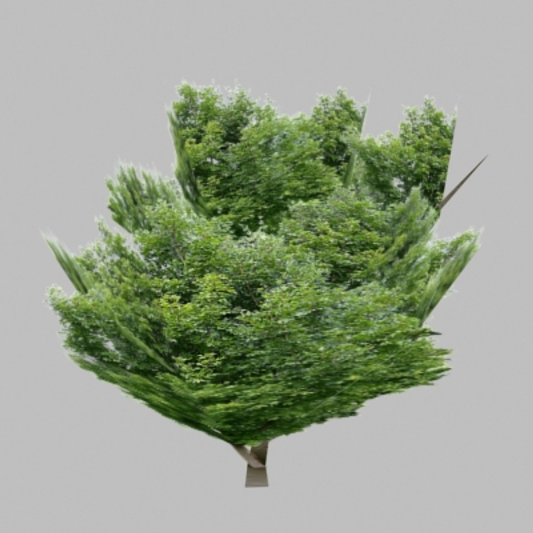 Bush 3d Obj