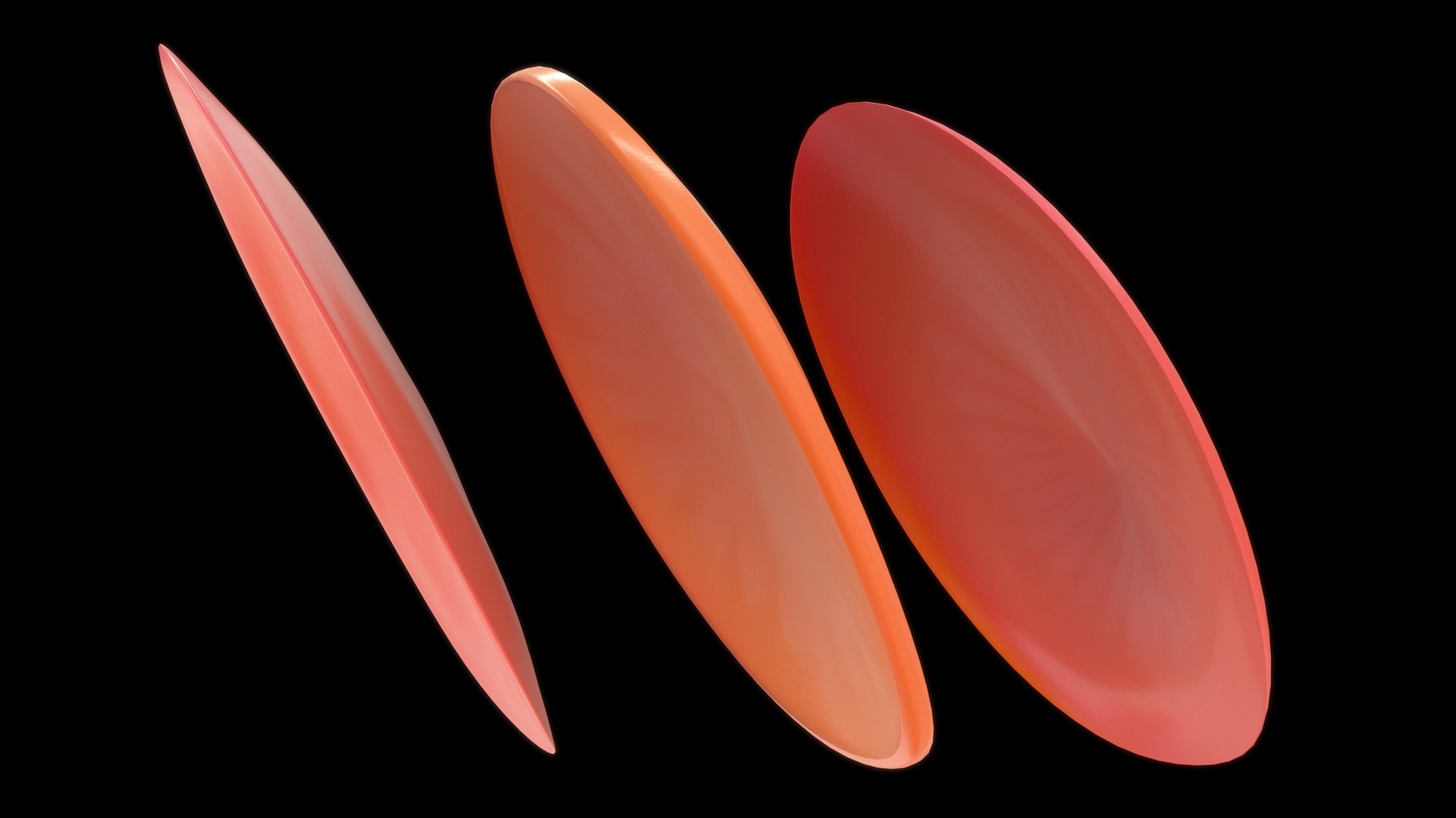 3D Tympanic Membrane Eardrum Model - TurboSquid 2308429