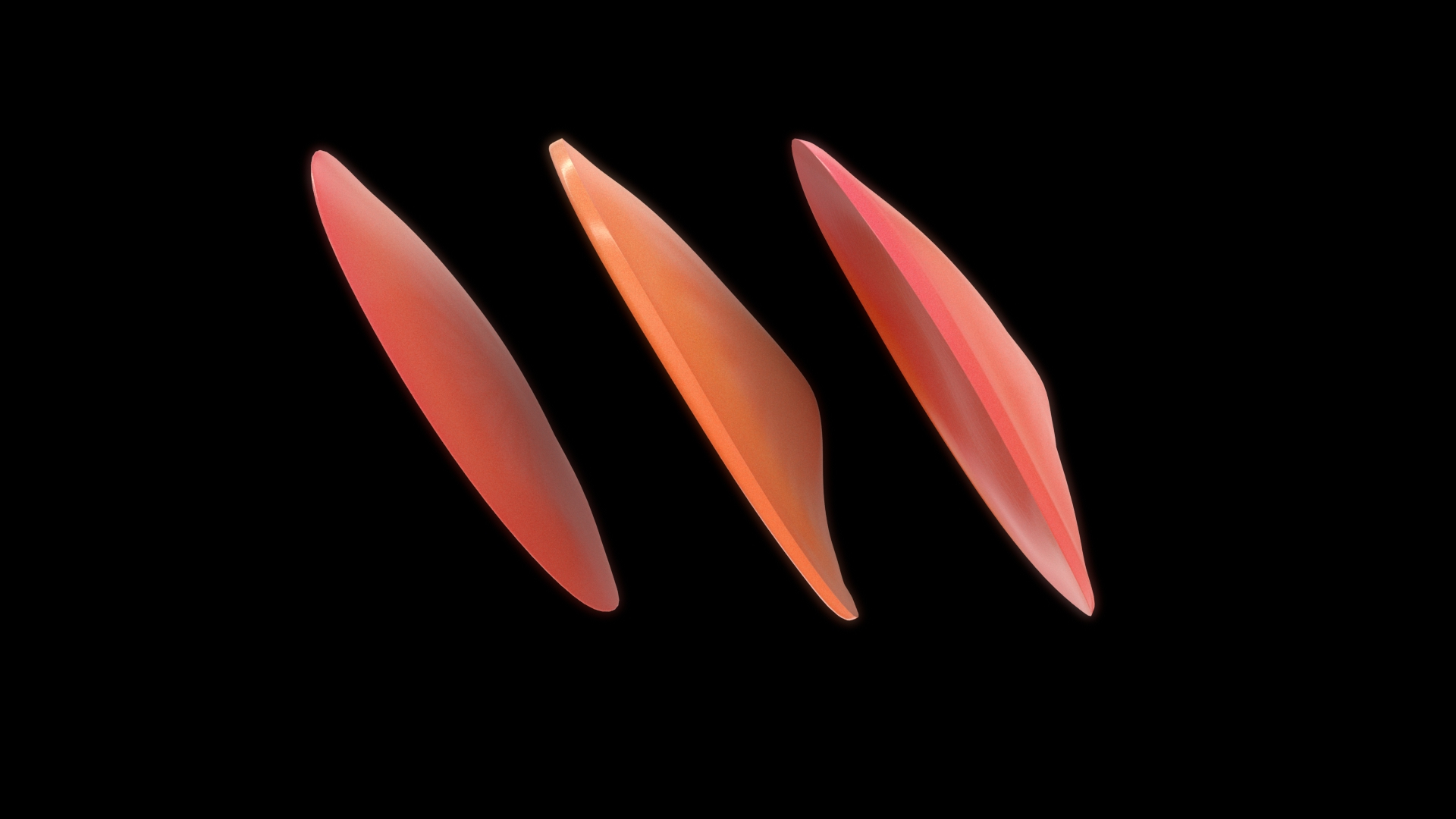 3D Tympanic Membrane Eardrum Model - TurboSquid 2308429