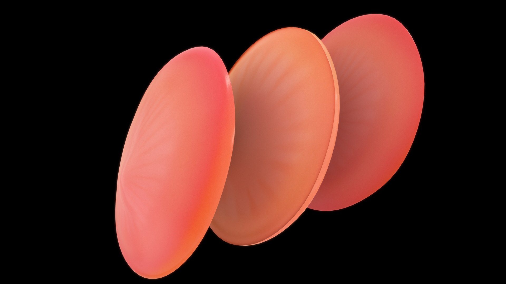 3D Tympanic Membrane Eardrum Model - TurboSquid 2308429