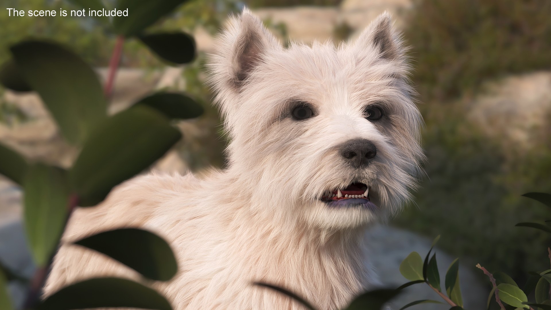 3D Mongrel Dog Cream Standing Pose Fur - TurboSquid 2413783