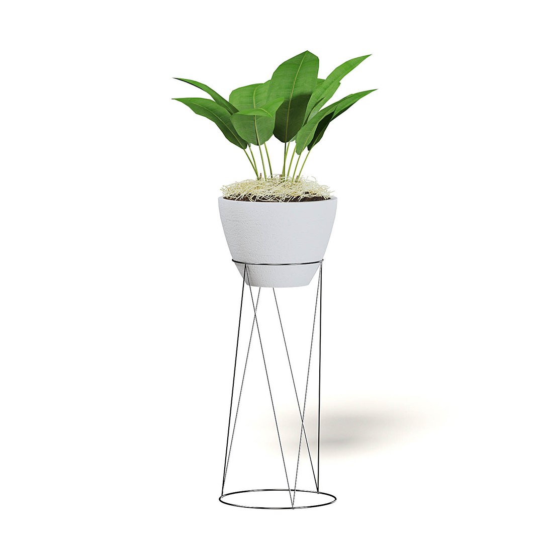 Plant Tall Rack 3D Model - TurboSquid 1386793