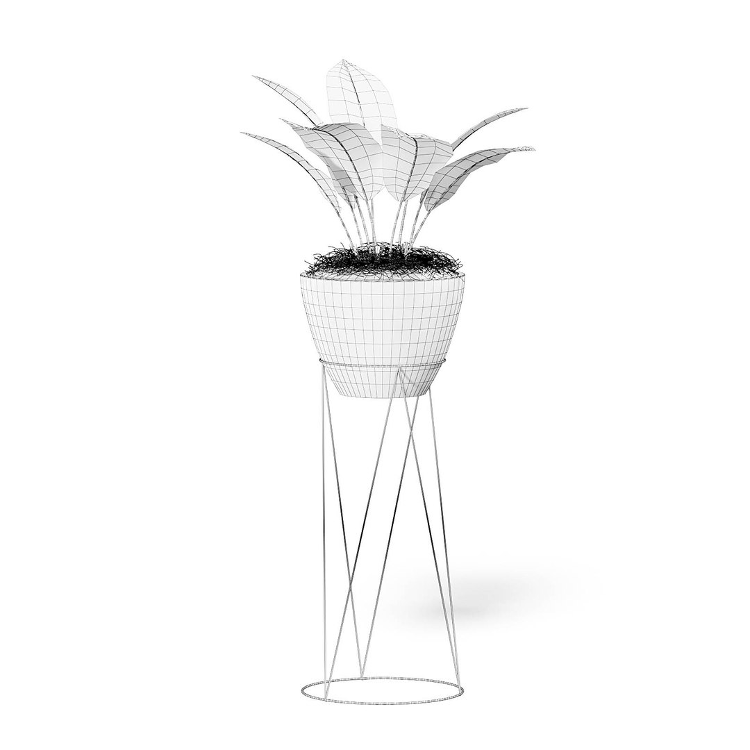 Plant Tall Rack 3D Model - TurboSquid 1386793