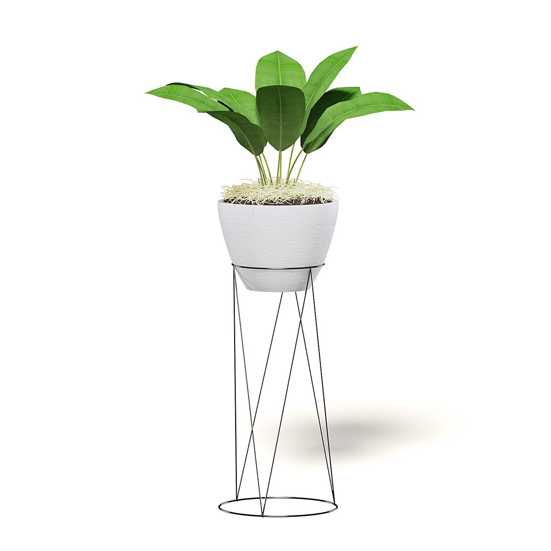 Plant Tall Rack 3D Model - TurboSquid 1386793