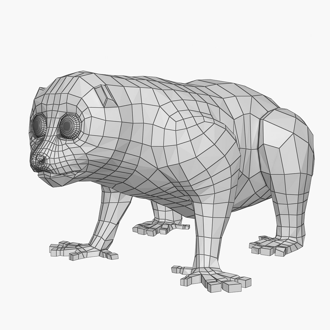 Lemur Loris 3D Model - TurboSquid 1494401