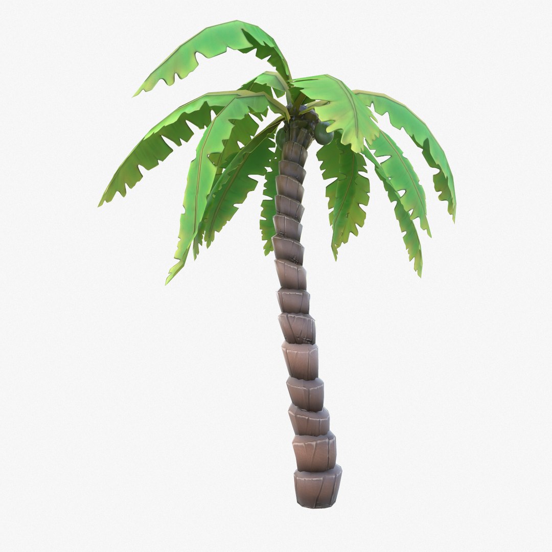 Cartoon palm tree 3D model - TurboSquid 1593117