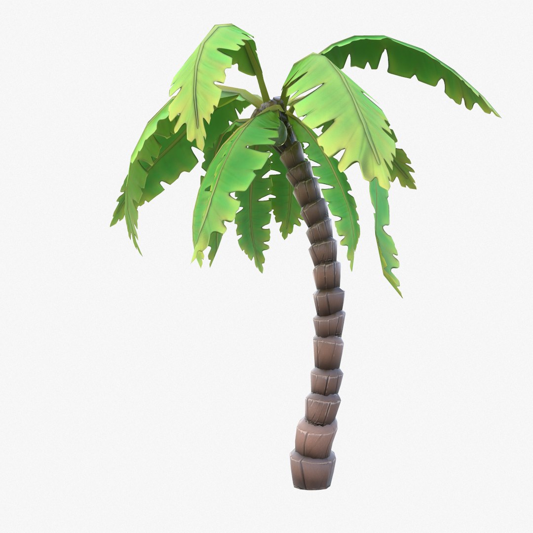 Cartoon palm tree 3D model - TurboSquid 1593117