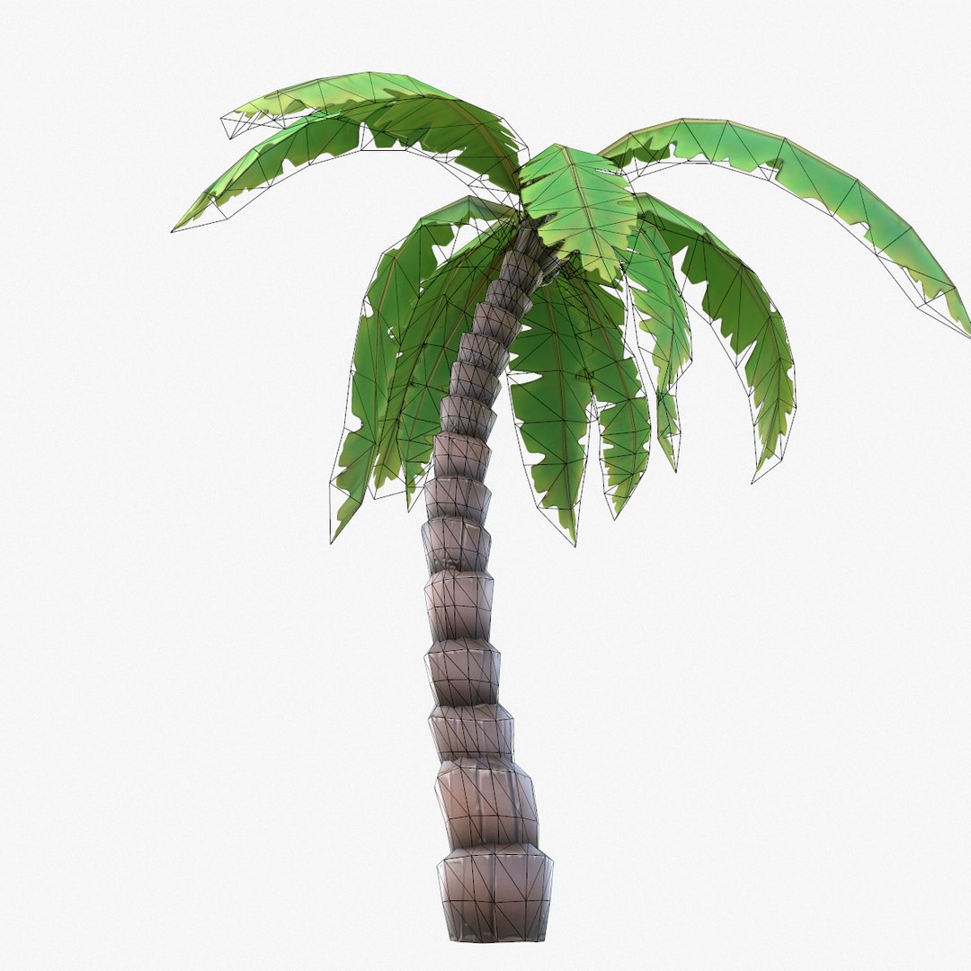 Cartoon palm tree 3D model - TurboSquid 1593117