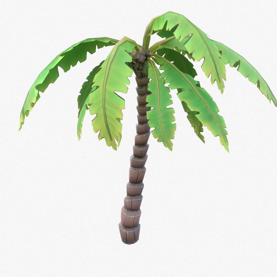 Cartoon palm tree 3D model - TurboSquid 1593117
