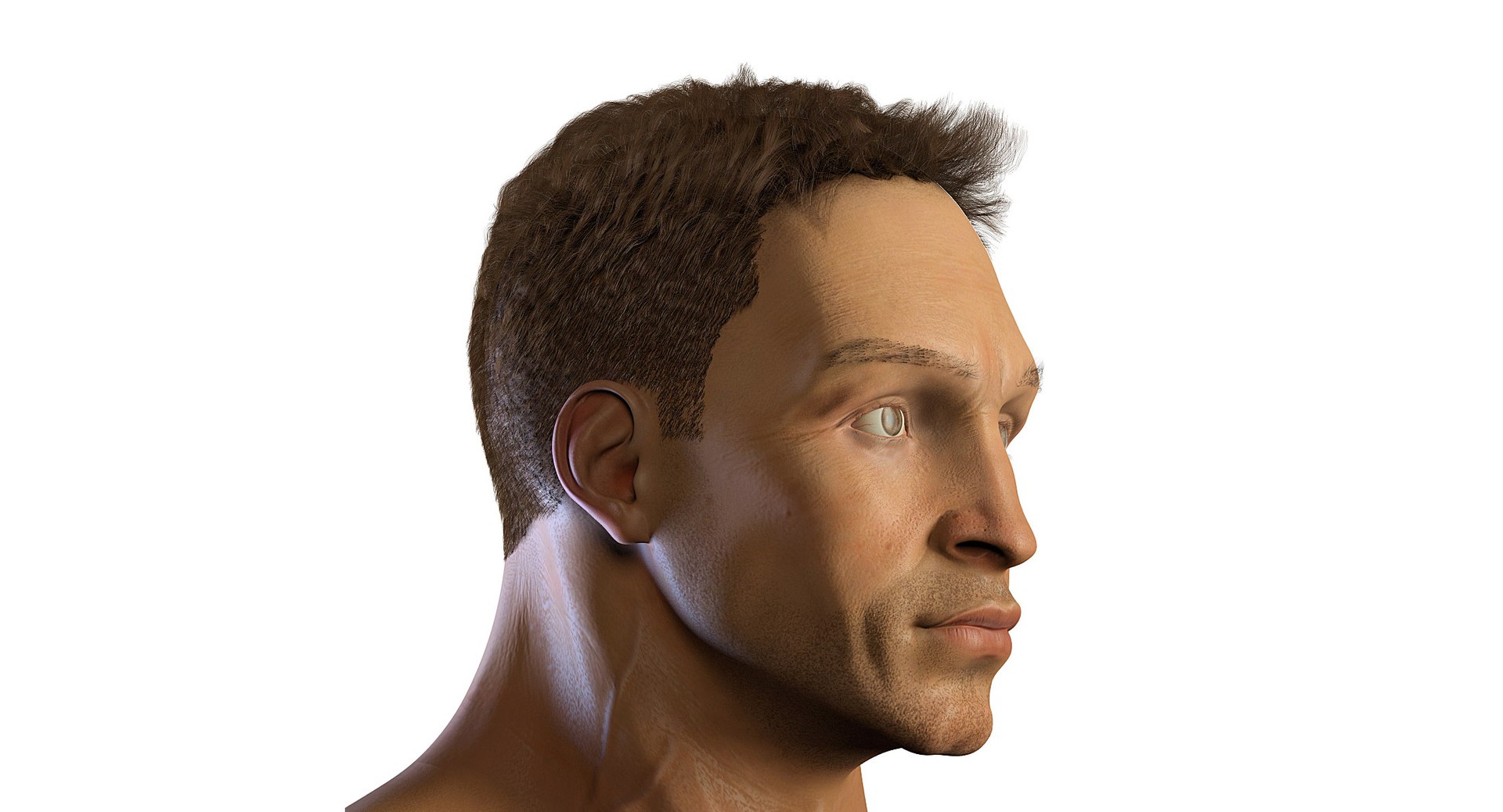 3d model realistic body head male