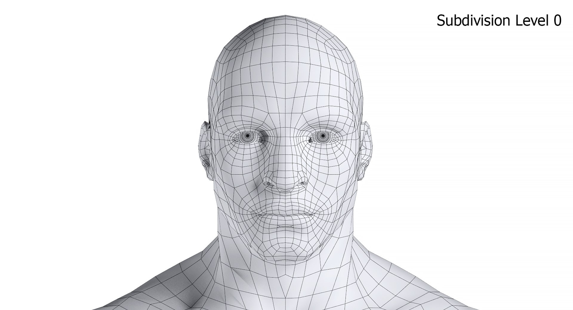 3d model realistic body head male